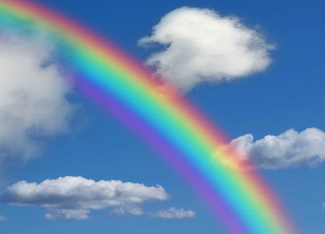 Picture Books and Pride - Pat McCaw